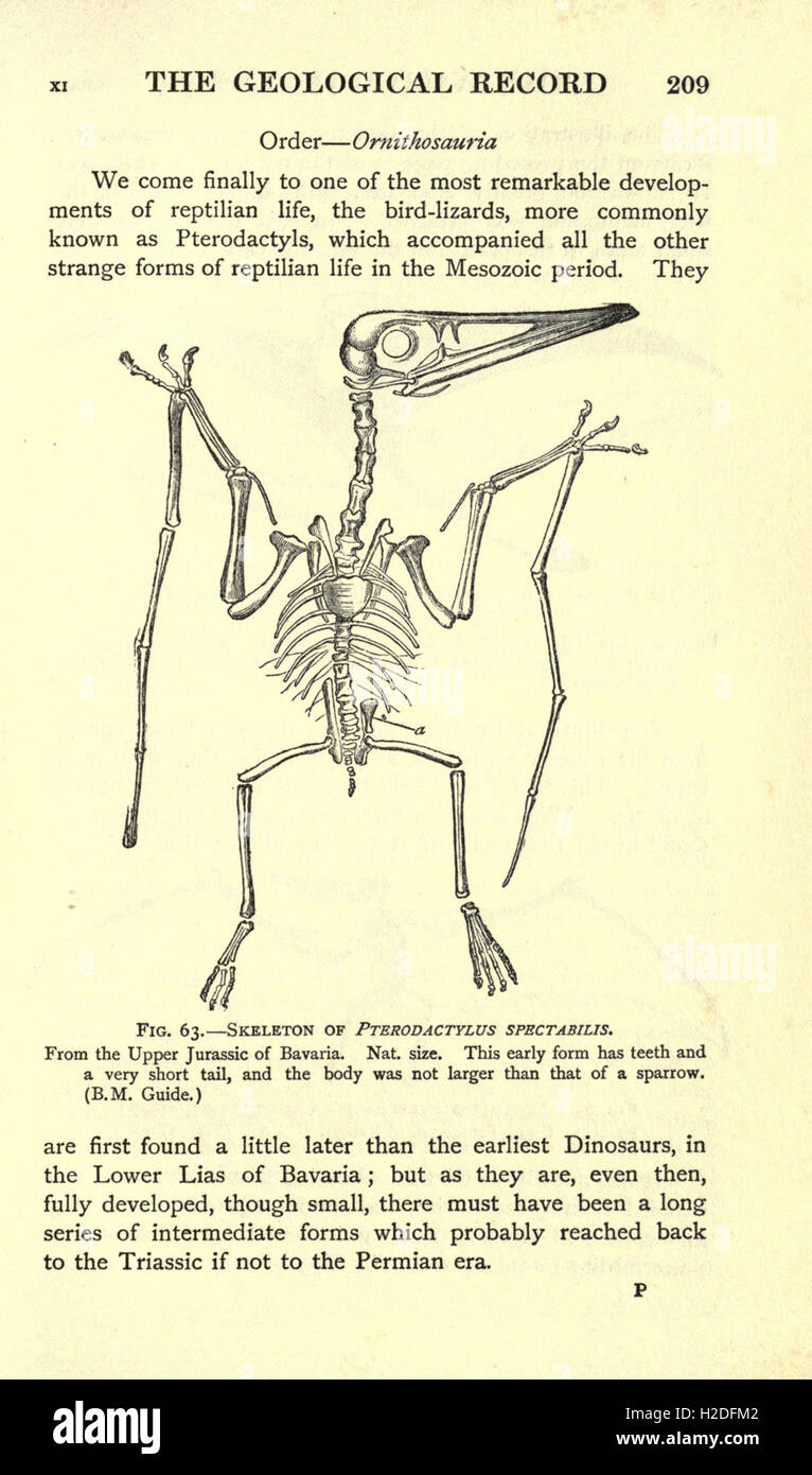 Page 209 of 'The World of Life' discusses the interconnectedness of ...