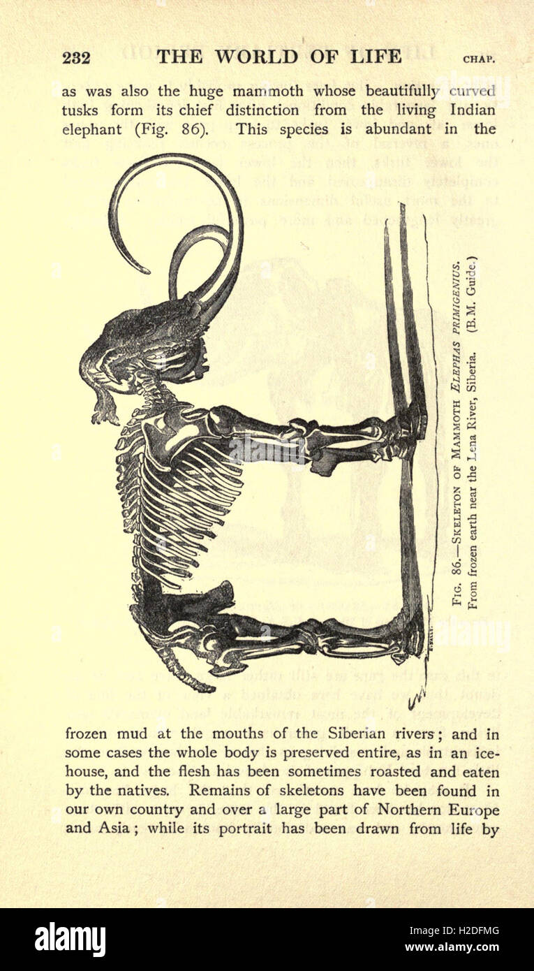This page from 'The World of Life' explores the diversity of life forms ...