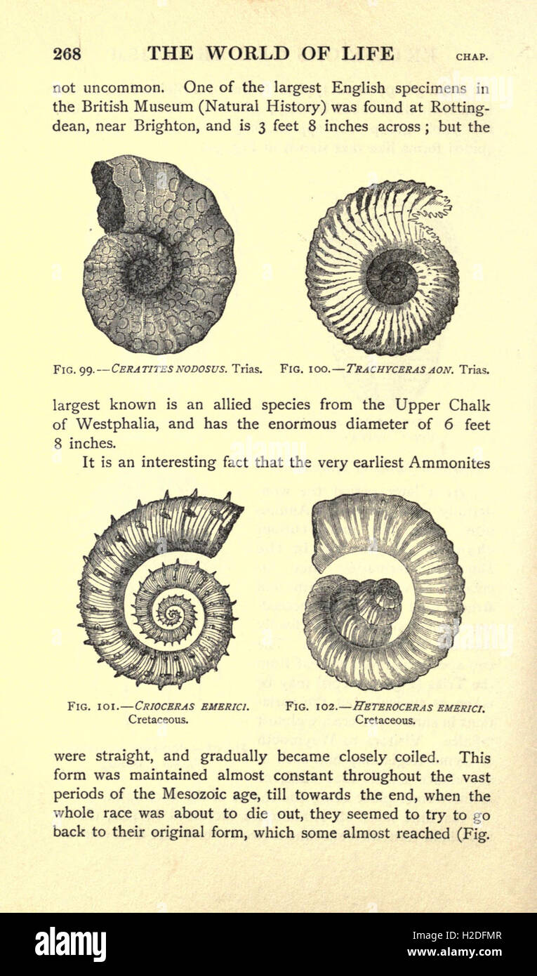This work offers a broad overview of life on Earth, examining the ...
