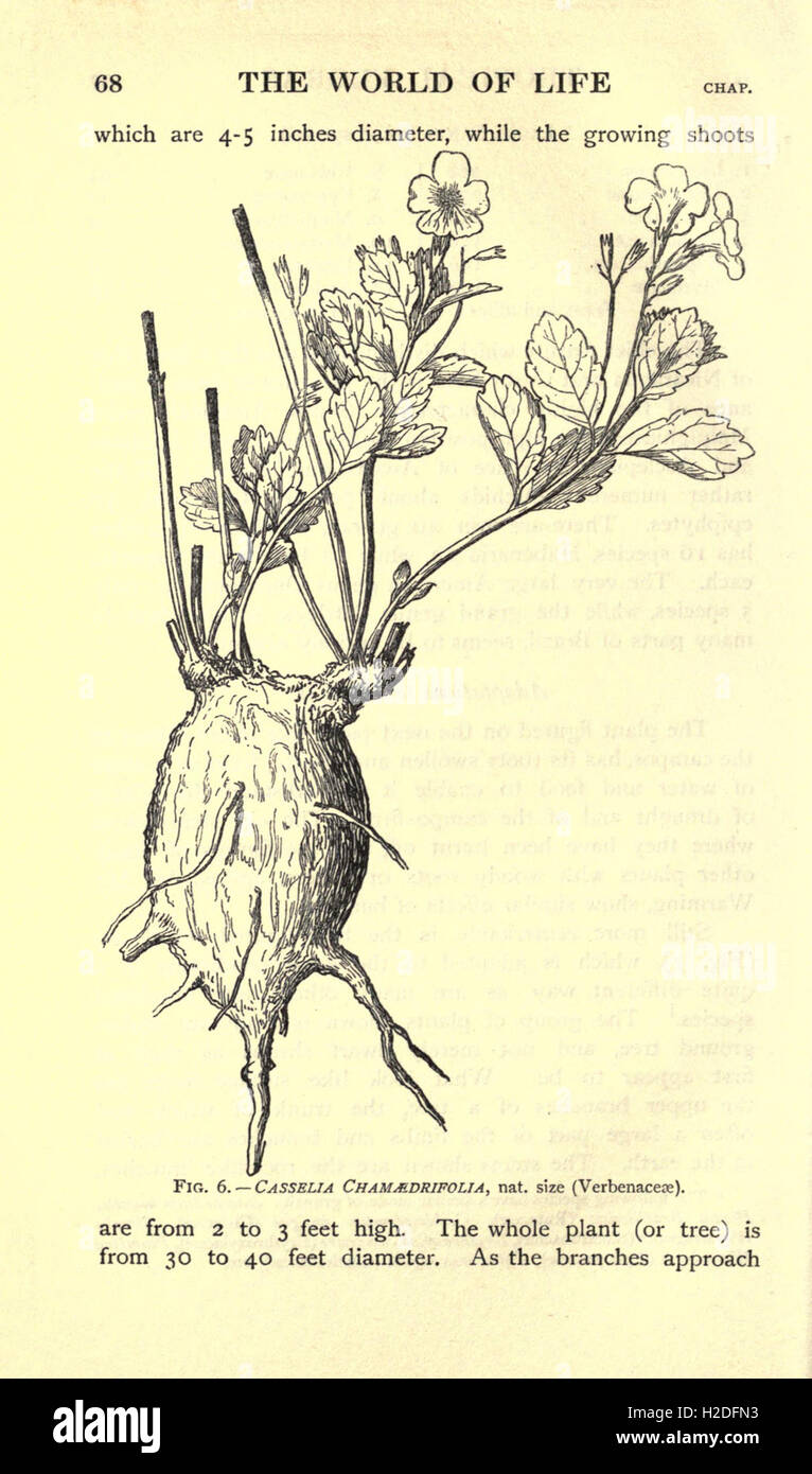 This work provides a broad exploration of life forms across the planet ...