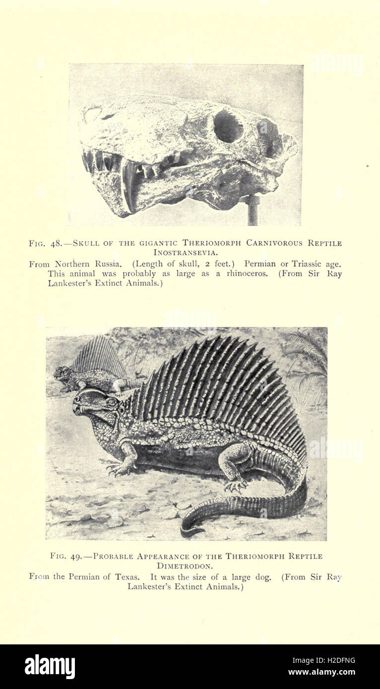 An exploration of life on Earth, focusing on the diversity of species ...