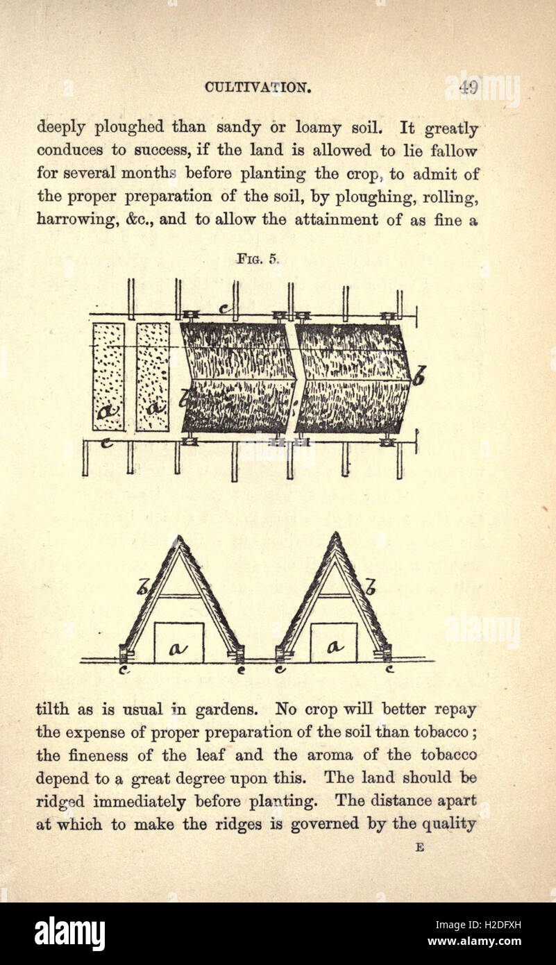 This text outlines the processes involved in tobacco cultivation ...