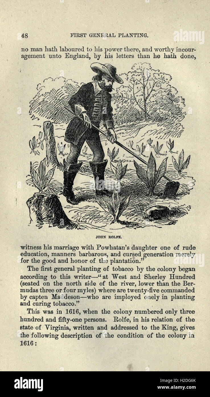 This page explores the history, cultivation, and uses of tobacco ...