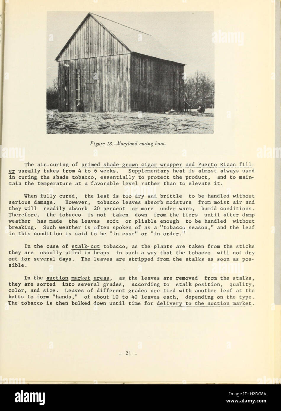 This work explores the history and significance of tobacco in the ...
