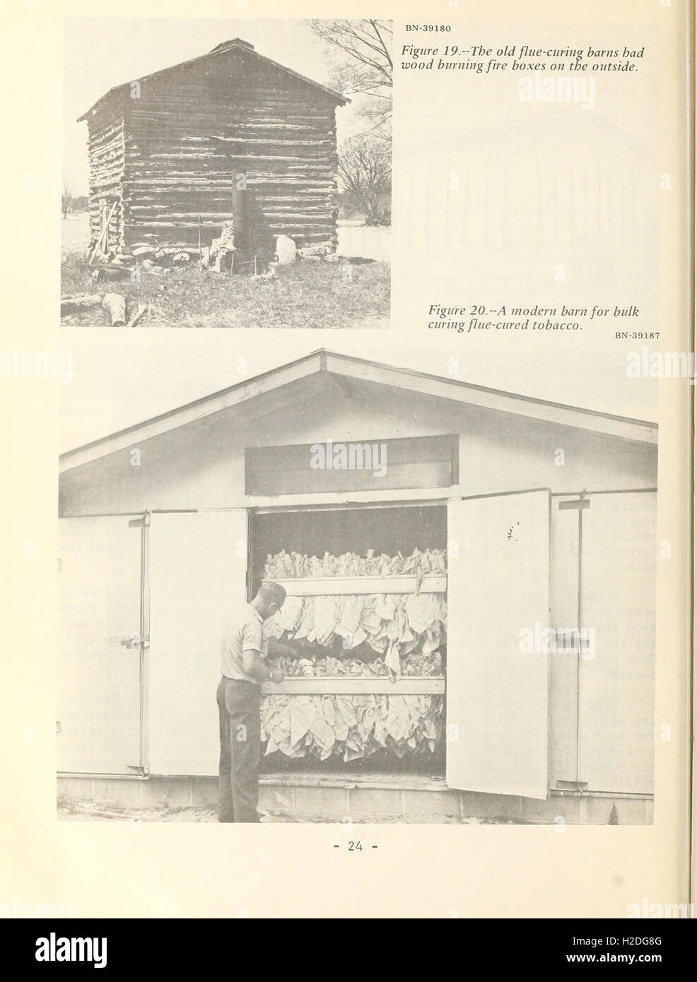 This page provides an overview of the history and impact of tobacco ...