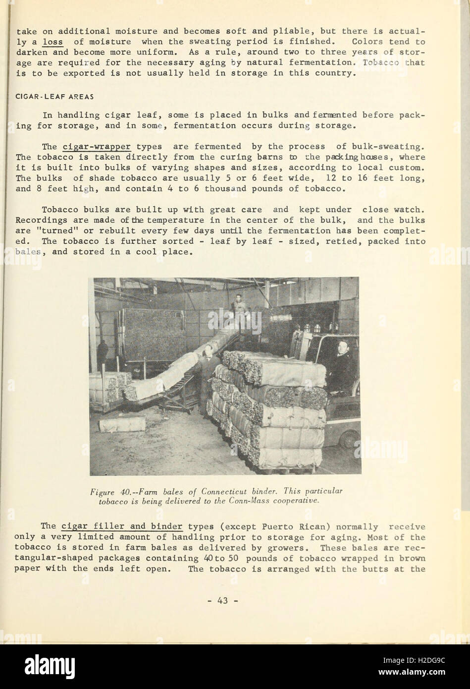A detailed examination of the history and cultivation of tobacco in the ...