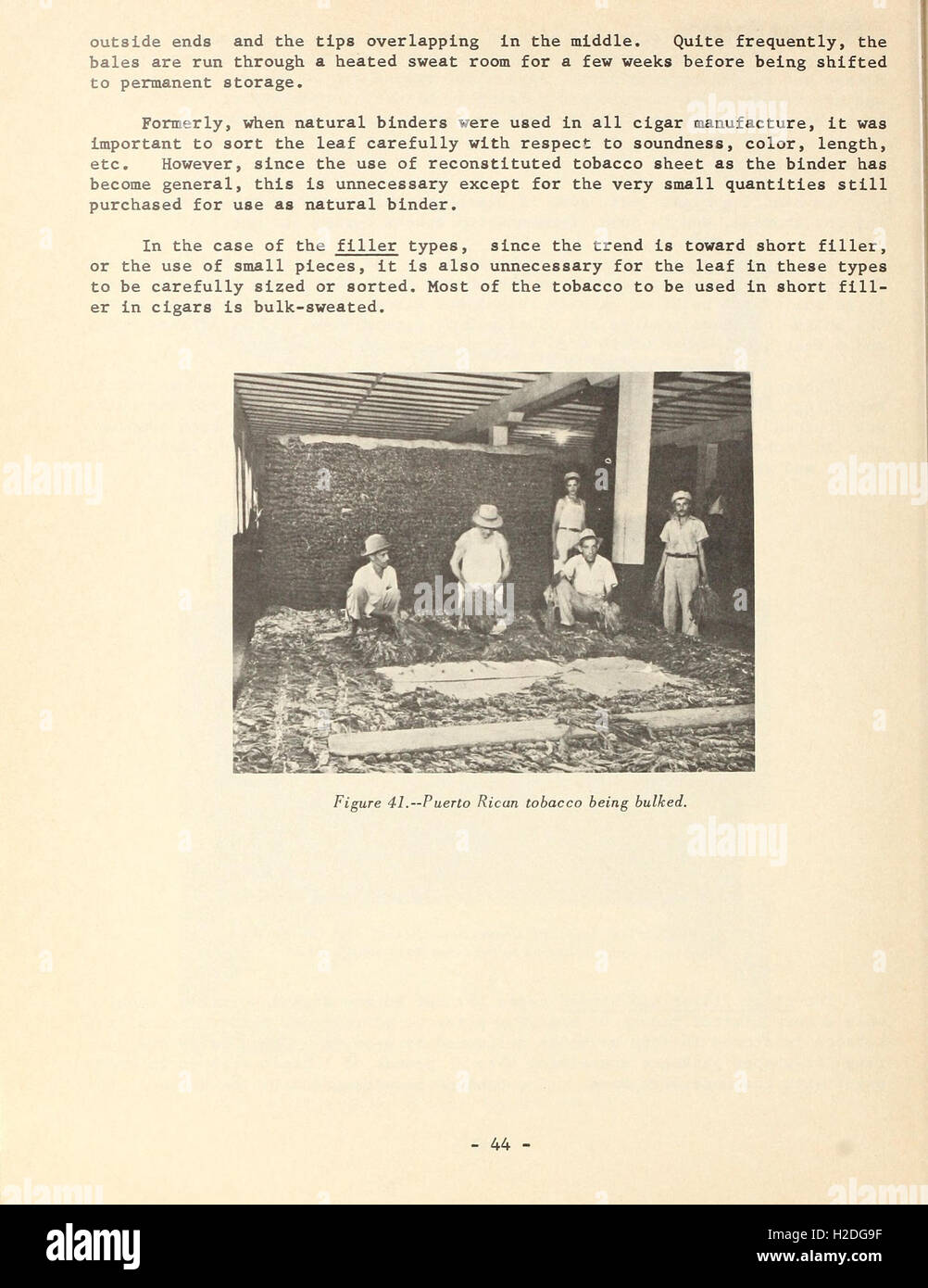 This work discusses the cultivation, history, and significance of ...