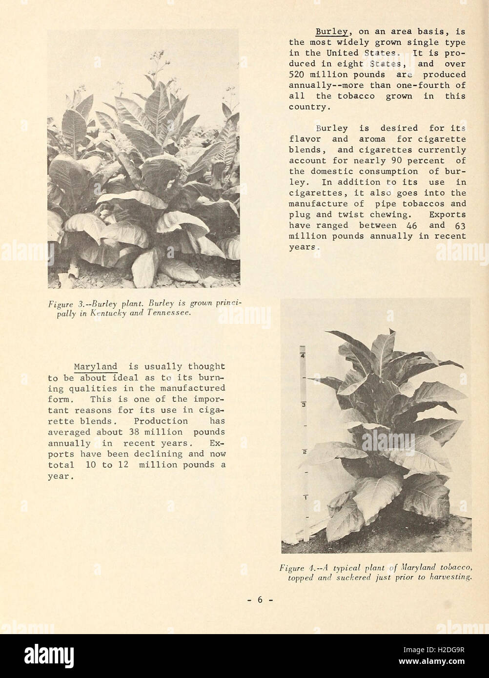 This work examines the history and impact of tobacco cultivation in the ...