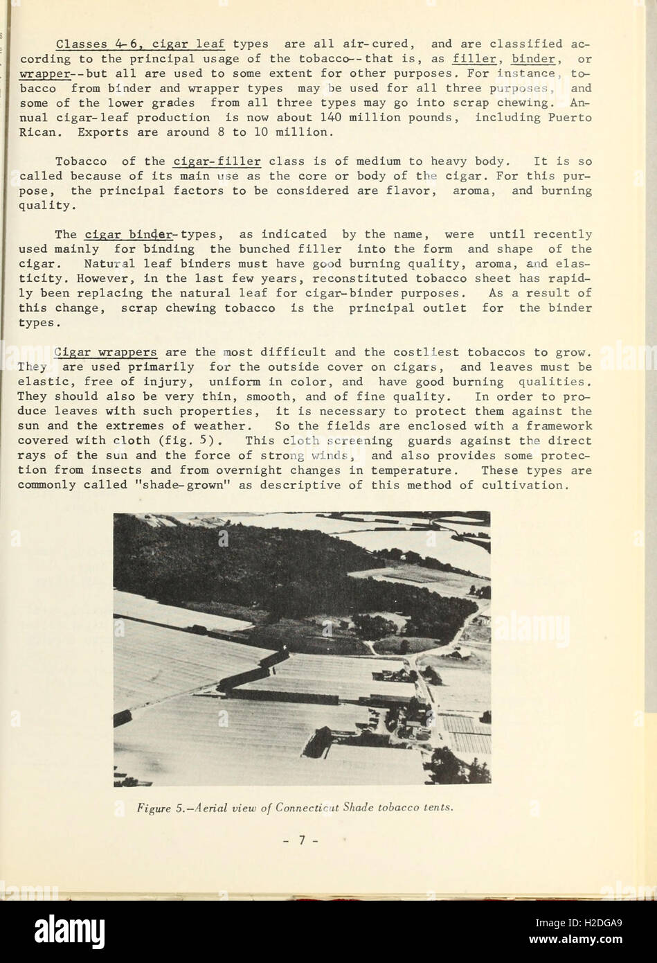 This work details the history, cultivation, and economic significance ...