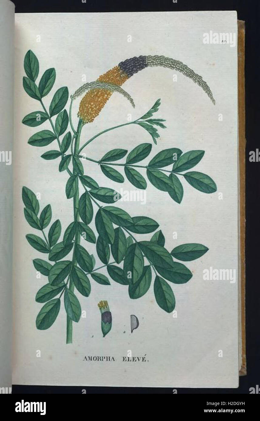 This work discusses shrubs and bushes cultivated in France and open ...