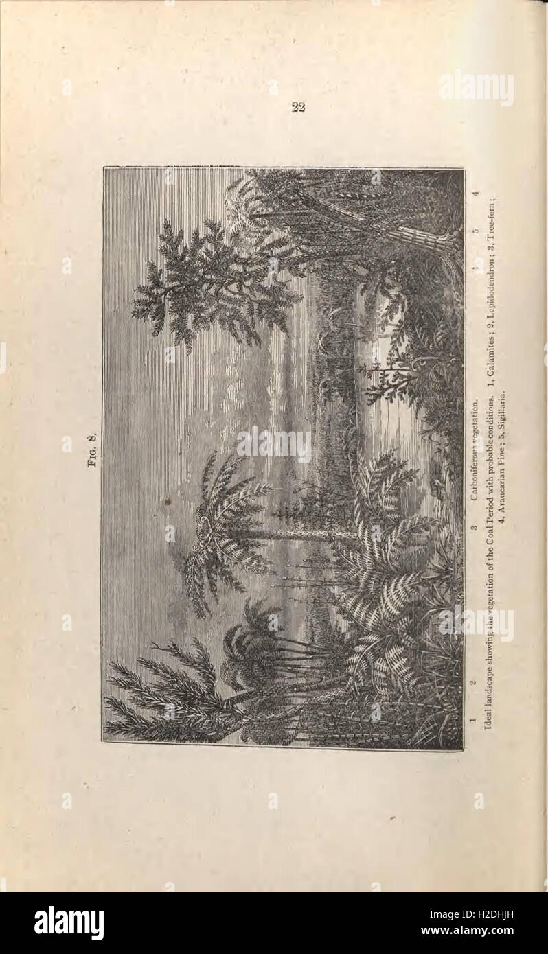 A guide detailing the geological and paleontological collections at the ...