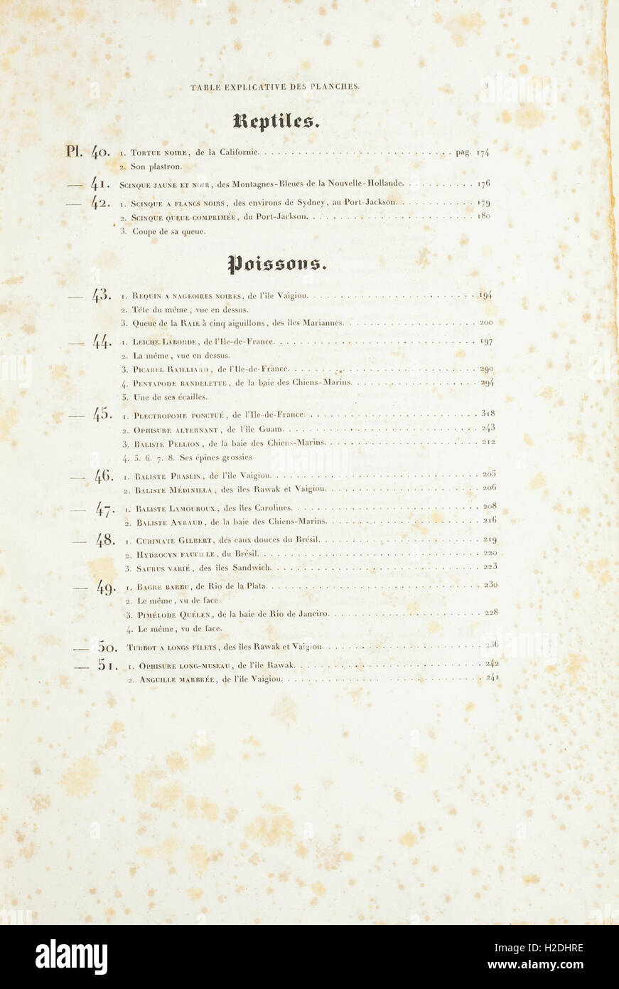 A detailed account of a world voyage, exploring various regions ...