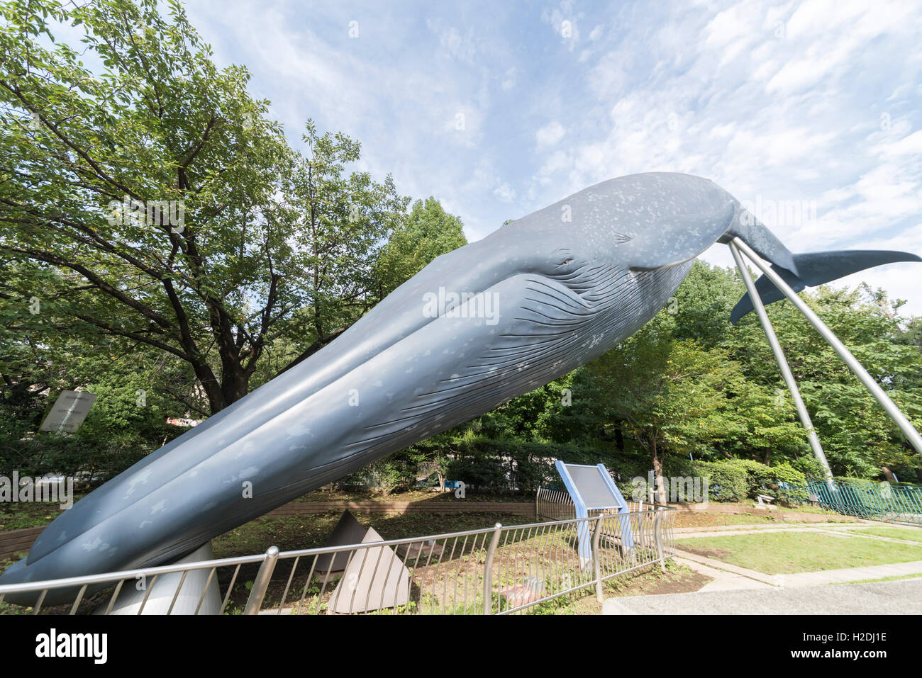 Blue whale statue hi-res stock photography and images - Alamy