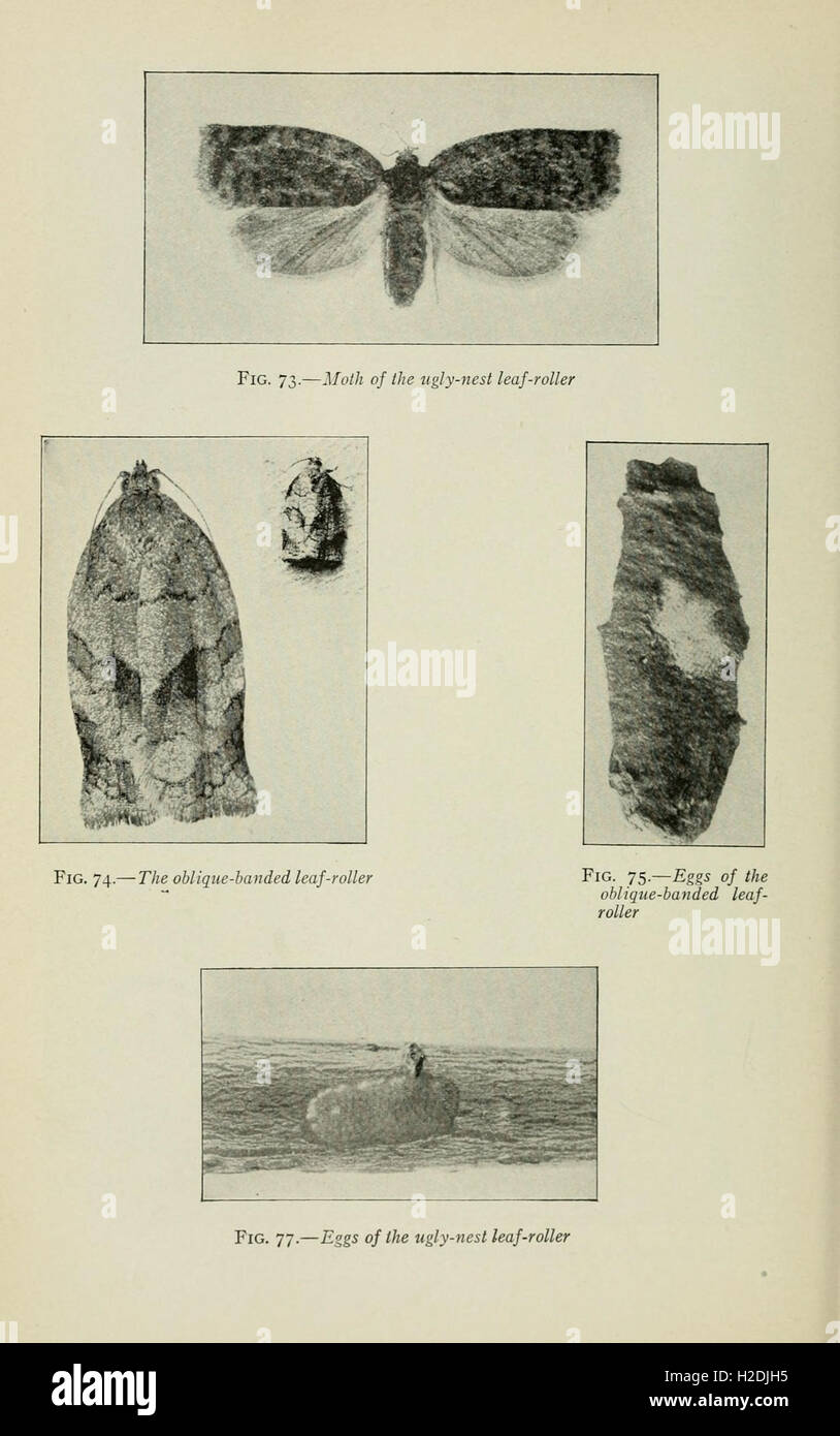 The annual report provides an overview of the research conducted by the ...
