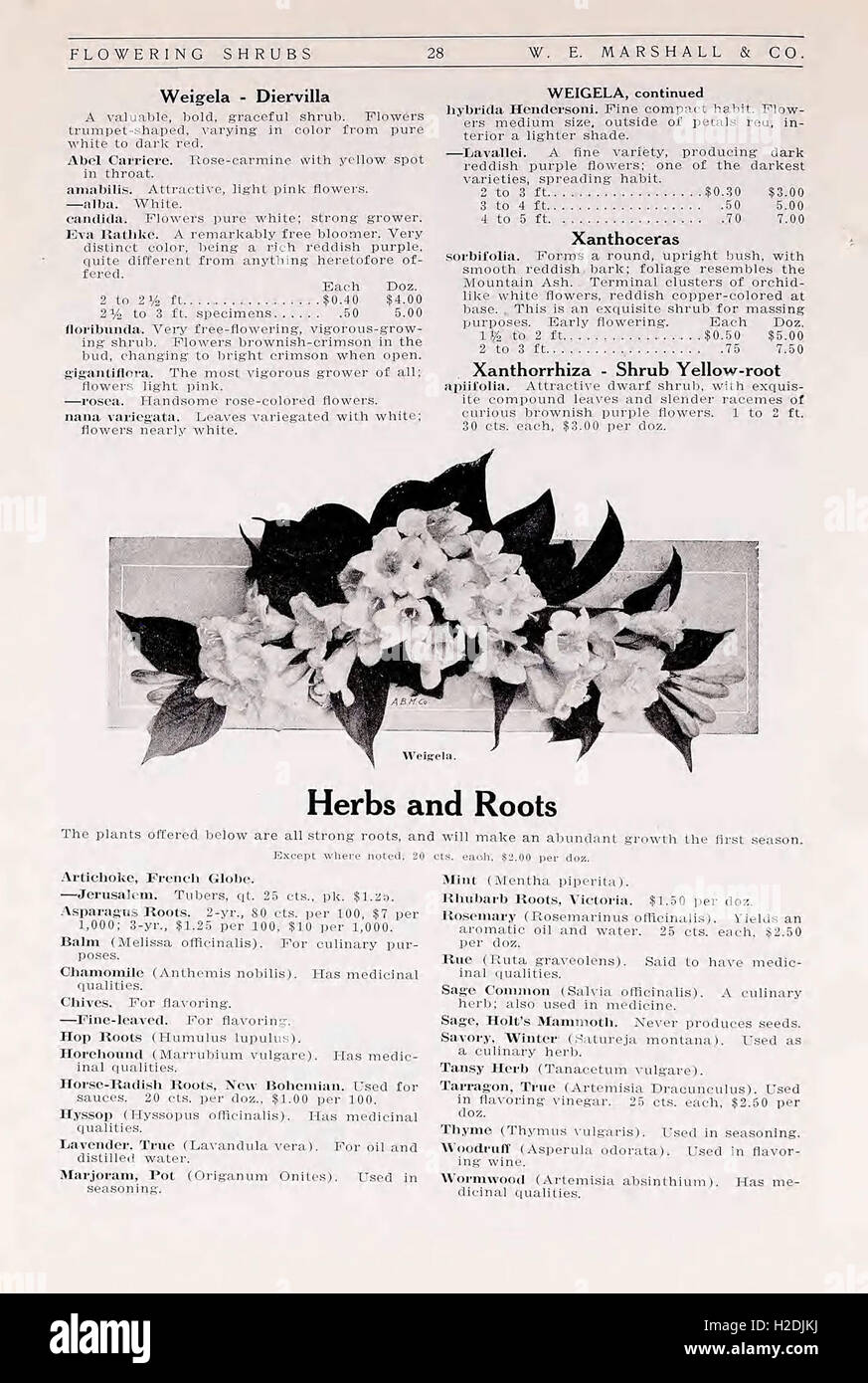 The annual spring catalogue includes a variety of plants, seeds, and ...