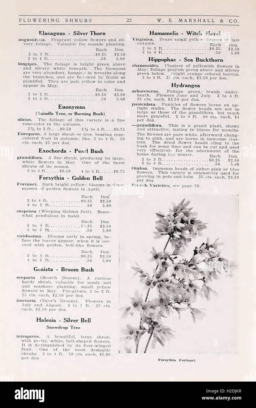 Annual spring catalogue Stock Photo - Alamy