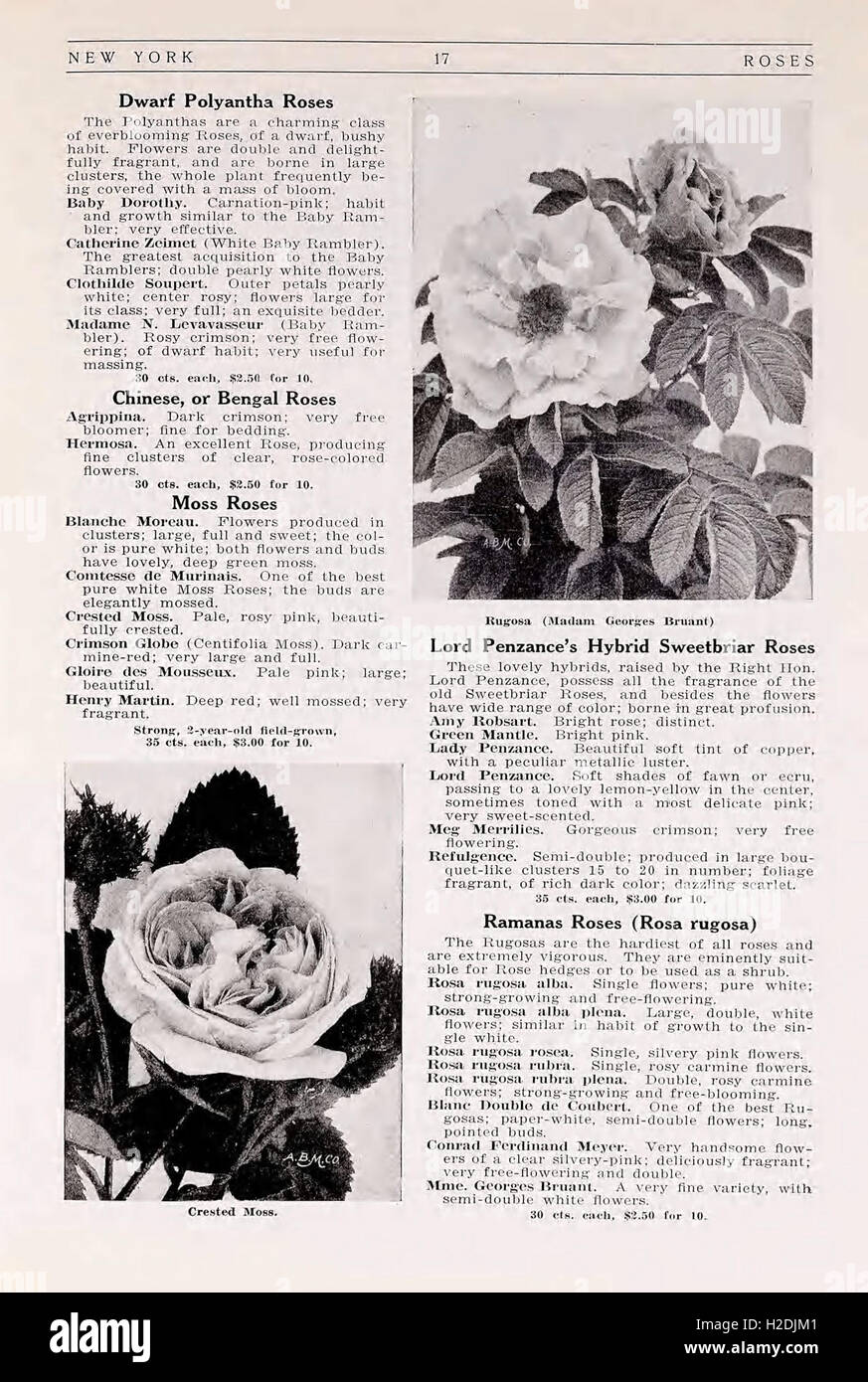 Annual spring catalogue Stock Photo - Alamy