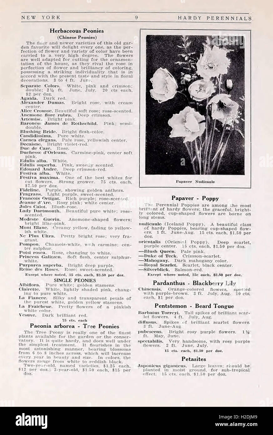 This catalogue lists plants, flowers, and gardening supplies available ...
