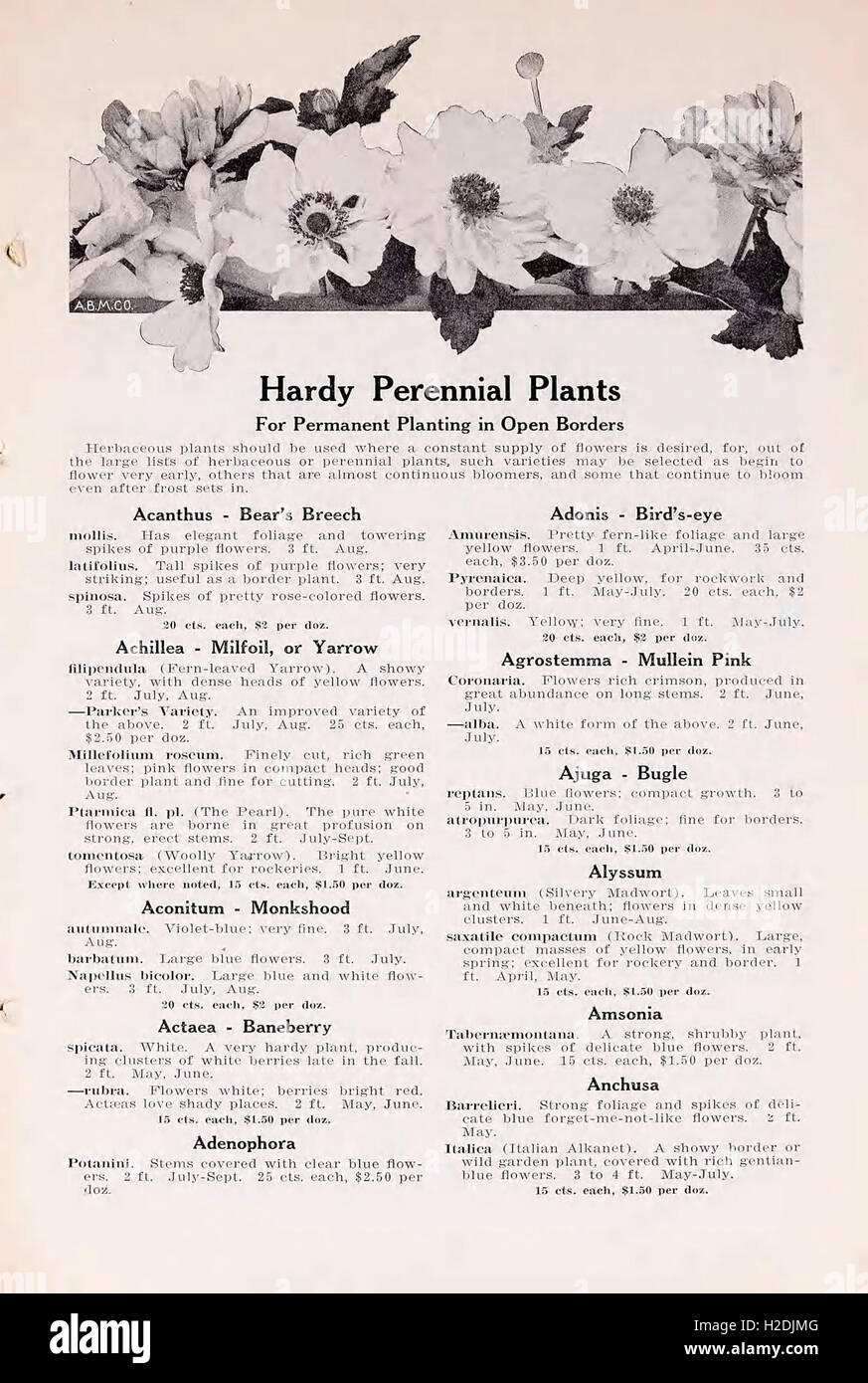 Annual spring catalogue Stock Photo - Alamy