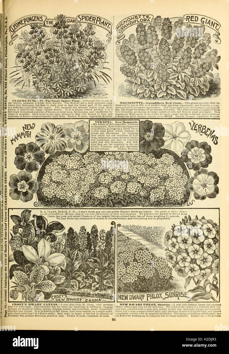 A historical seed catalog from 1893, detailing various seeds available ...