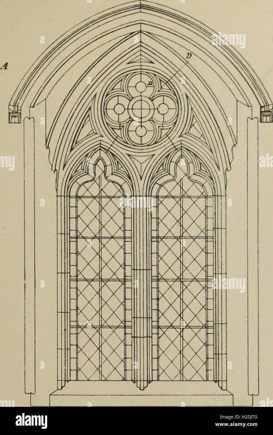 An in-depth analysis of Gothic architecture, featuring over 700 ...