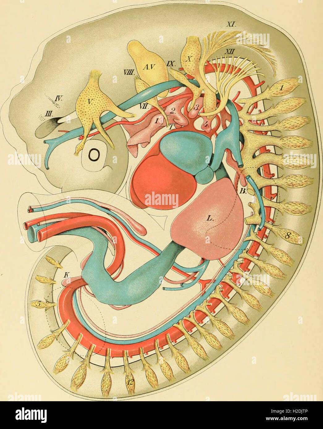 This comprehensive textbook on obstetrics covers key topics in prenatal ...