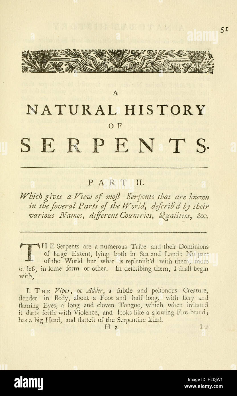 Studying serpent species hi-res stock photography and images - Alamy