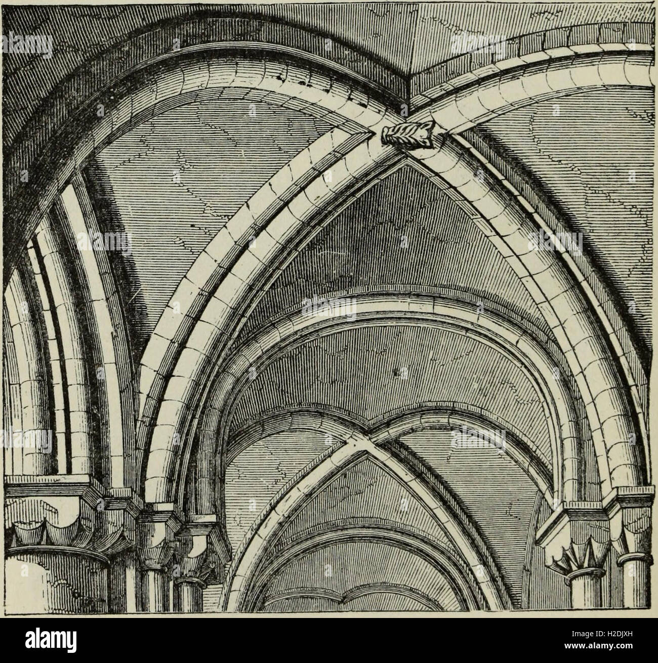 This book serves as an introduction to Gothic architecture, explaining its distinctive features ...