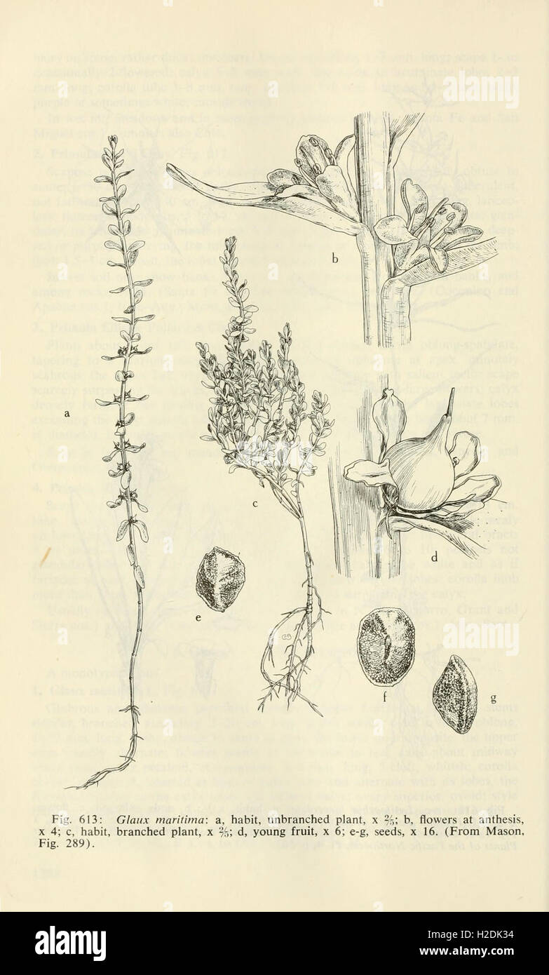 This work focuses on the diverse species of aquatic and wetland plants ...