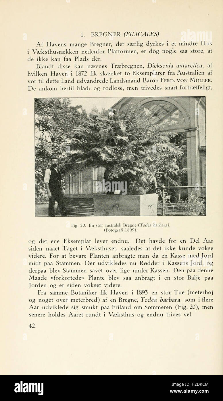 This work includes botanical research and studies conducted by the ...