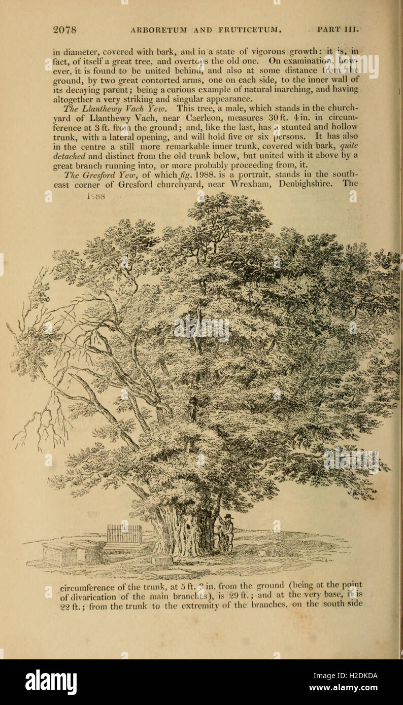 This comprehensive work focuses on the tree and shrub species of ...