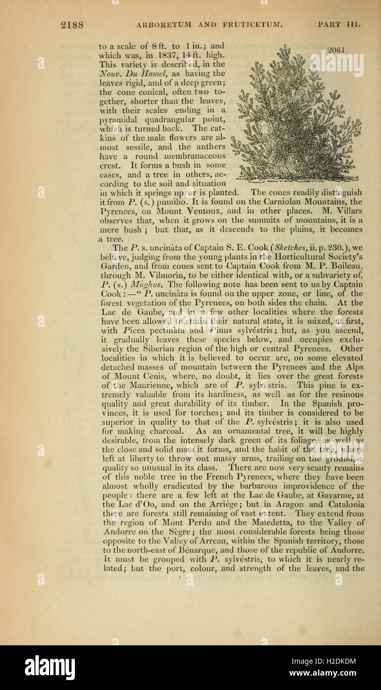 This work provides a detailed catalog of British trees and shrubs ...