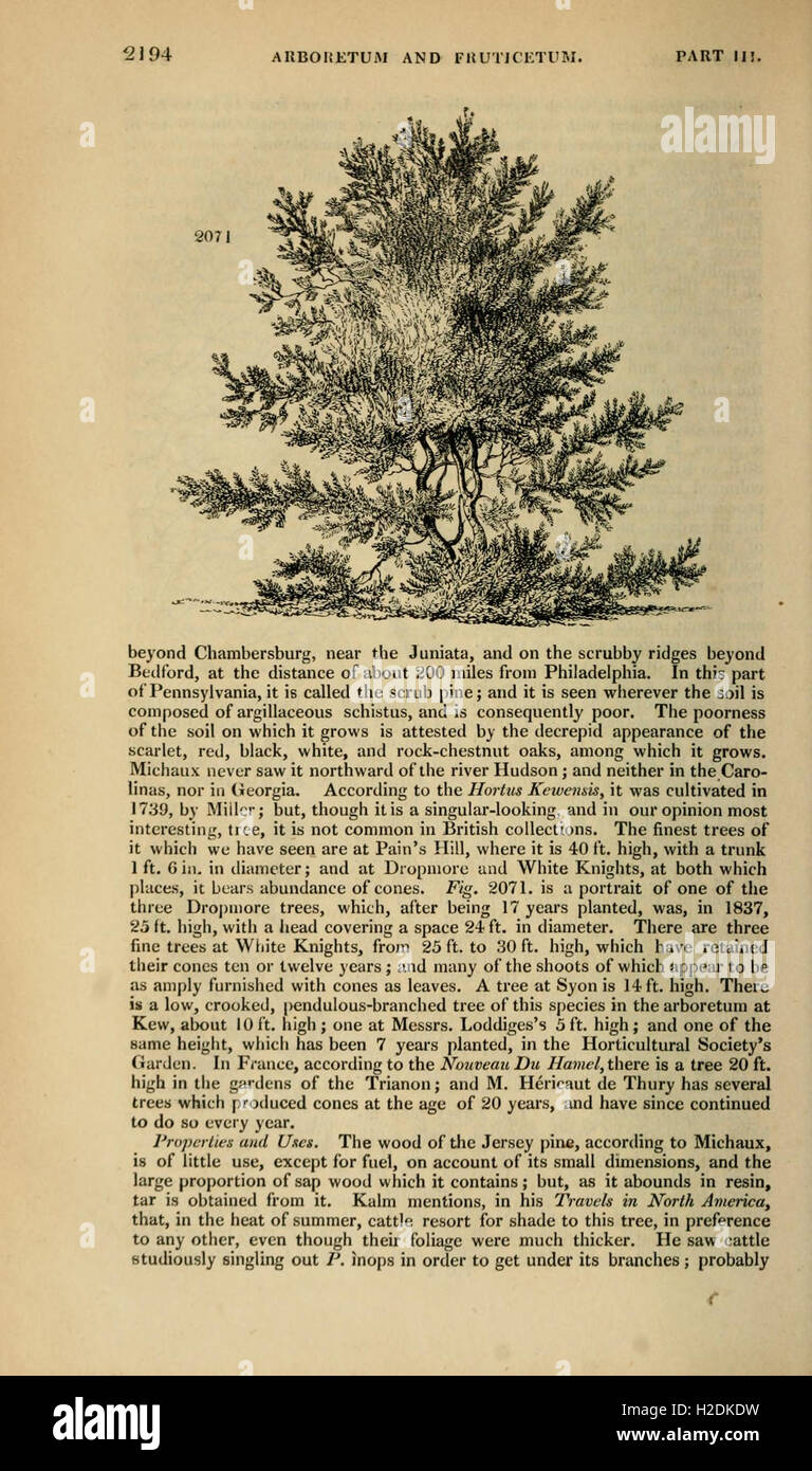 A detailed account of British trees and shrubs, examining species ...