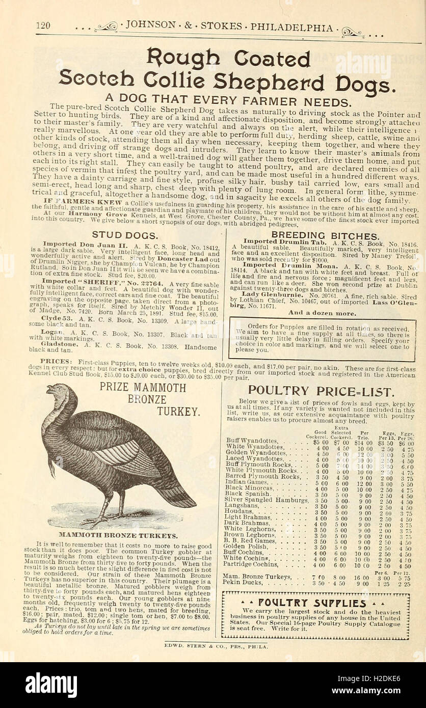 1894 garden and farm 1891 manual (Page 120 Stock Photo - Alamy