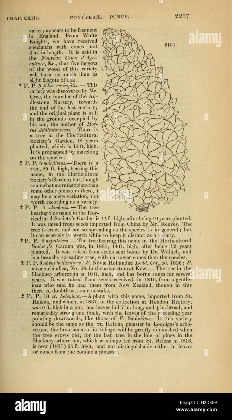 A botanical work detailing the tree and shrub species native to Britain ...