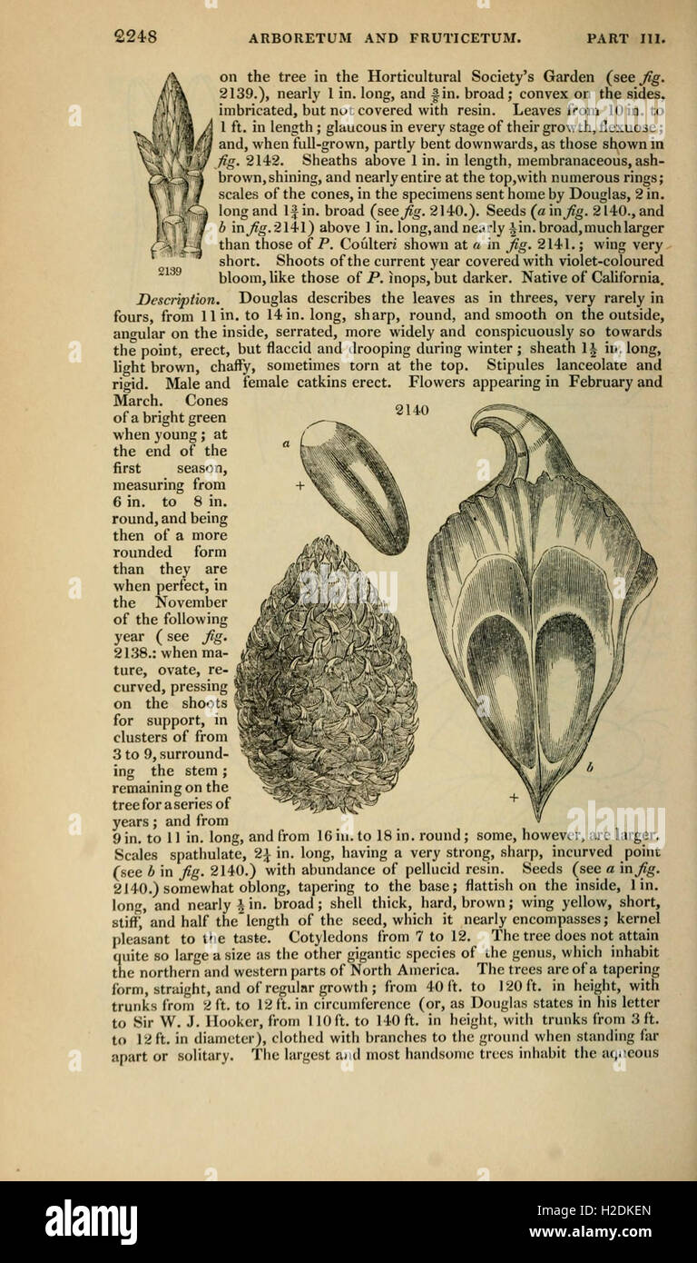 This work provides a detailed description of British trees and shrubs ...