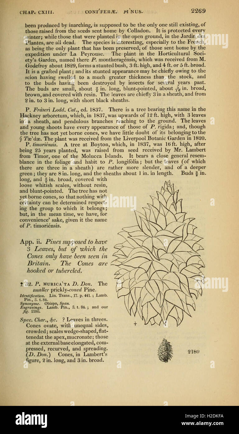 A botanical work focusing on British trees and shrubs, providing ...