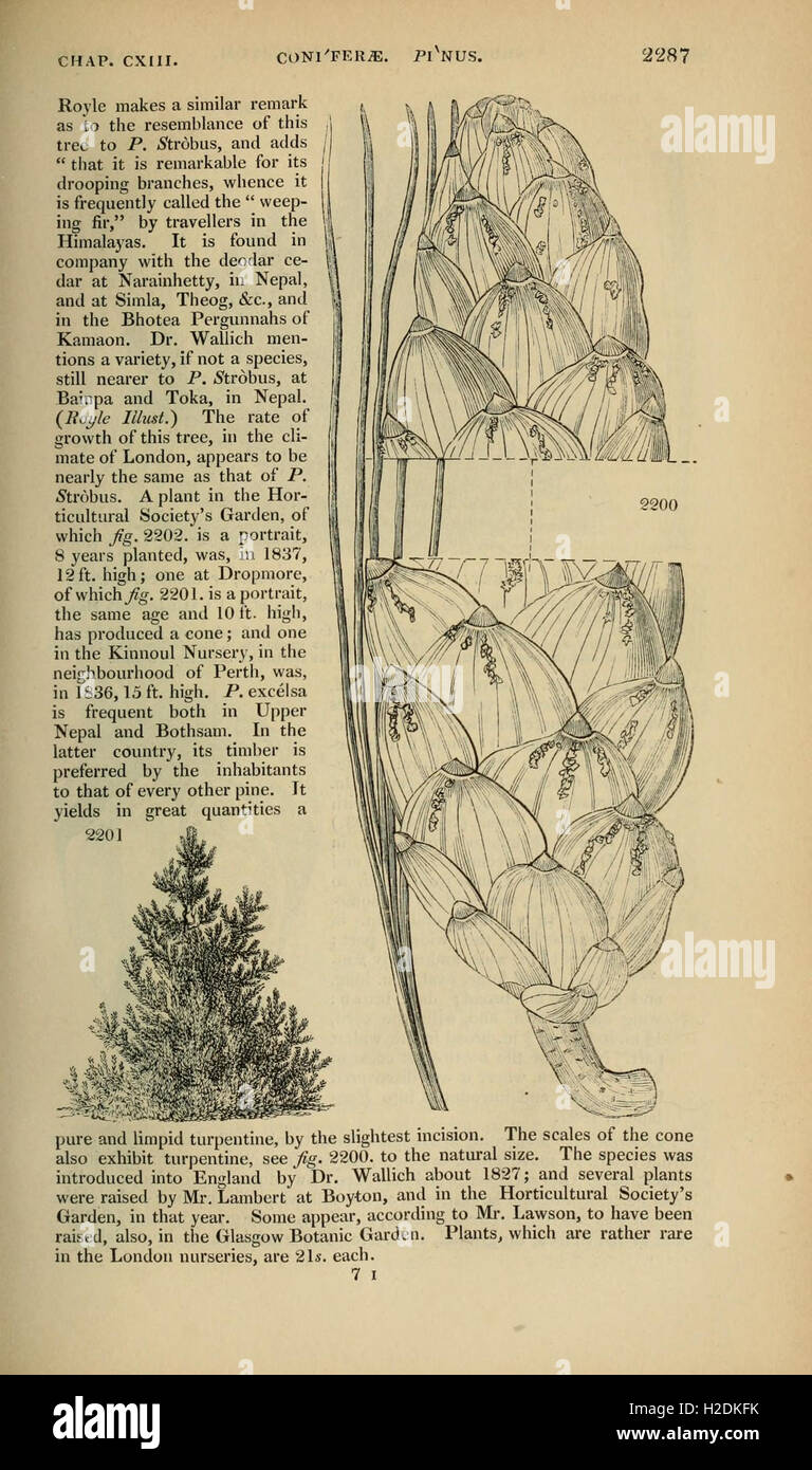 A comprehensive catalog of British trees and shrubs, detailing species ...