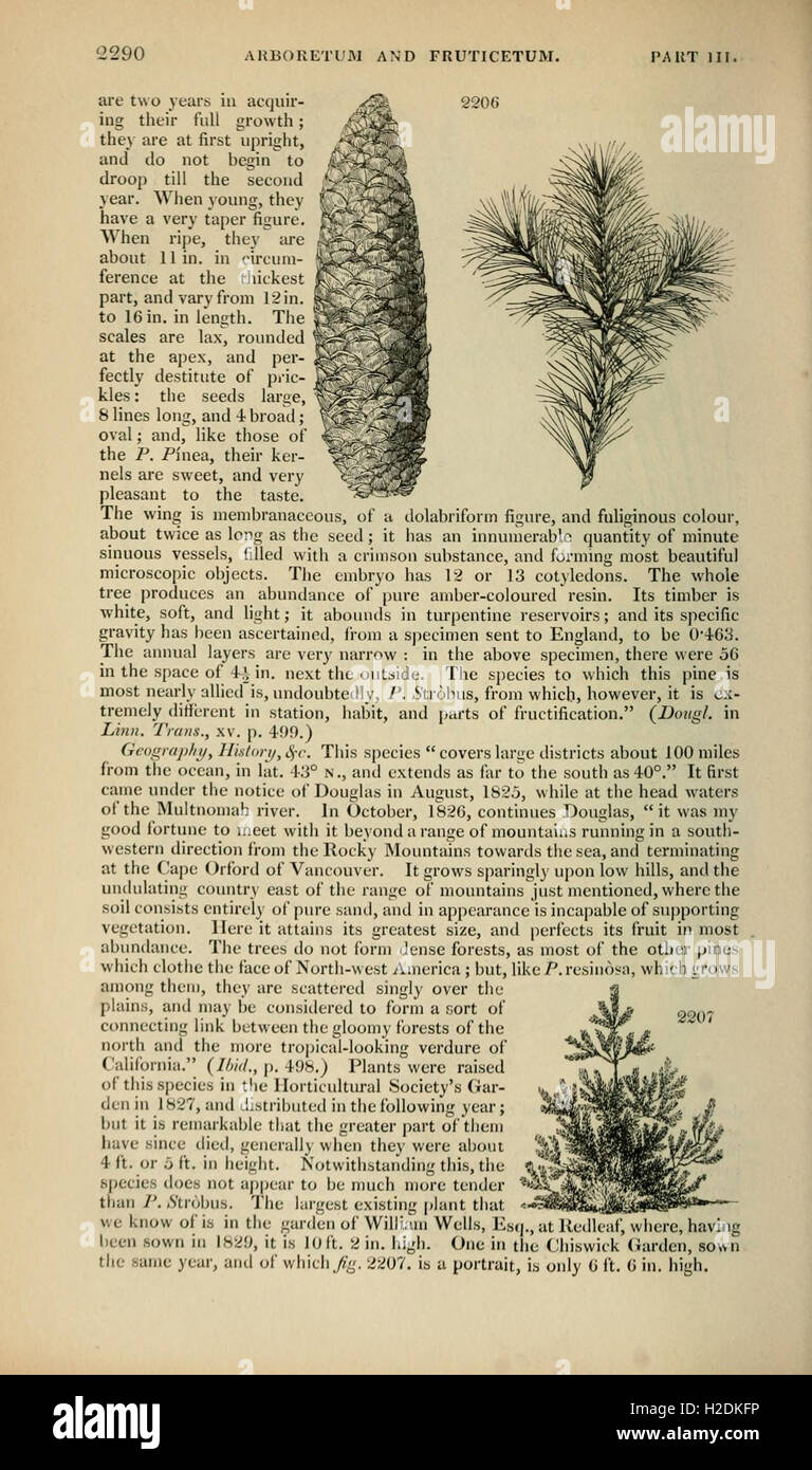 This work is a comprehensive guide to British trees and shrubs ...