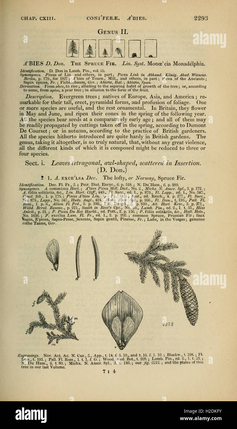 This botanical reference book provides extensive information on trees ...
