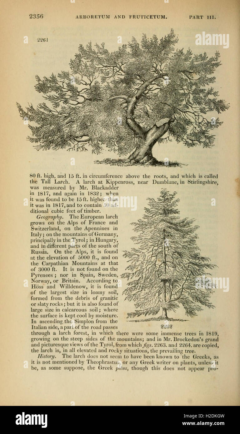 This work catalogs a collection of British trees and shrubs ...