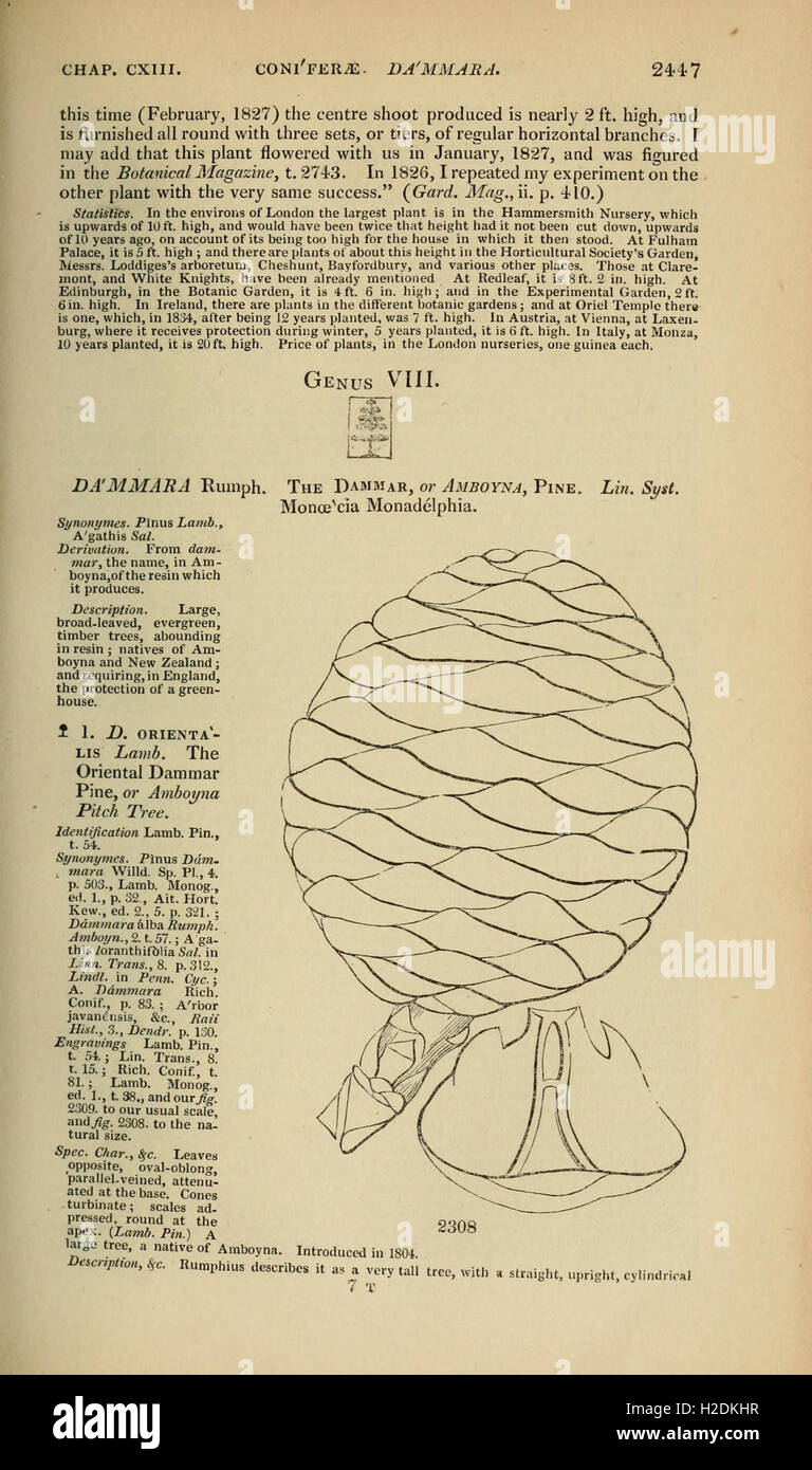 A comprehensive botanical work detailing the trees and shrubs of ...