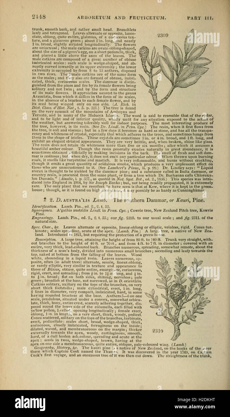 This British arboretum catalog details the trees and shrubs of Britain ...