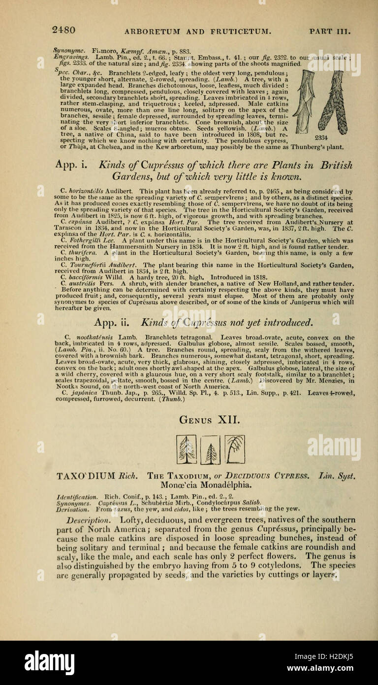 A comprehensive botanical work on British trees and shrubs, featuring ...