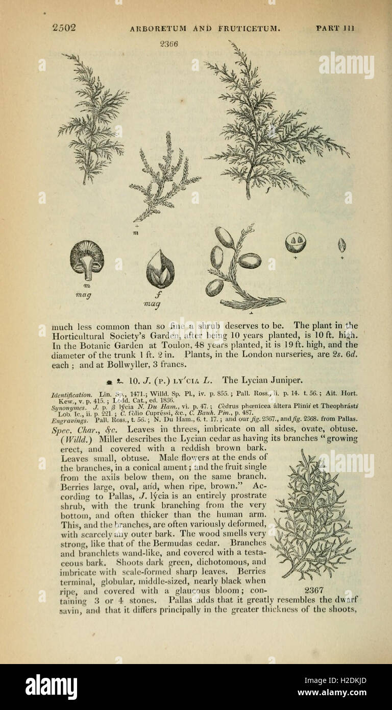 A comprehensive botanical work on British trees and shrubs, with ...