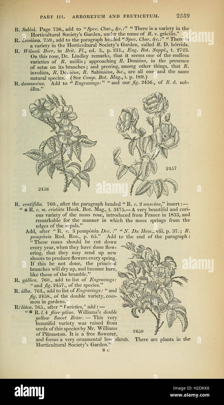 A botanical work documenting the arboretum and fruit trees of Britain ...
