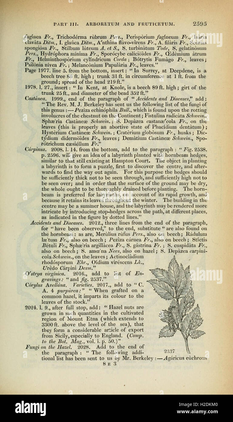 This work provides a comprehensive catalog of British trees and shrubs ...