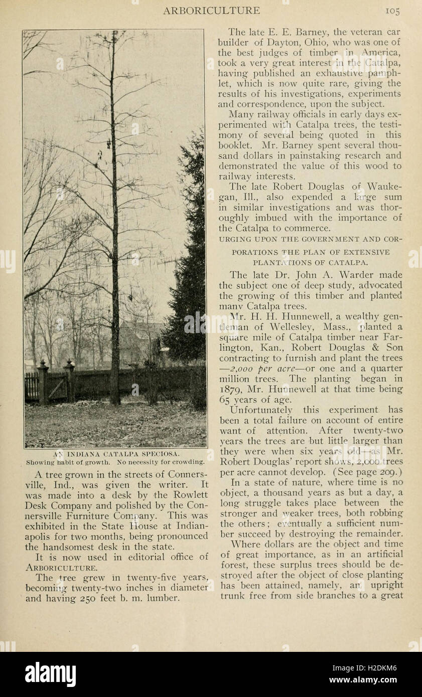 This page discusses arboriculture, the practice of cultivating and ...