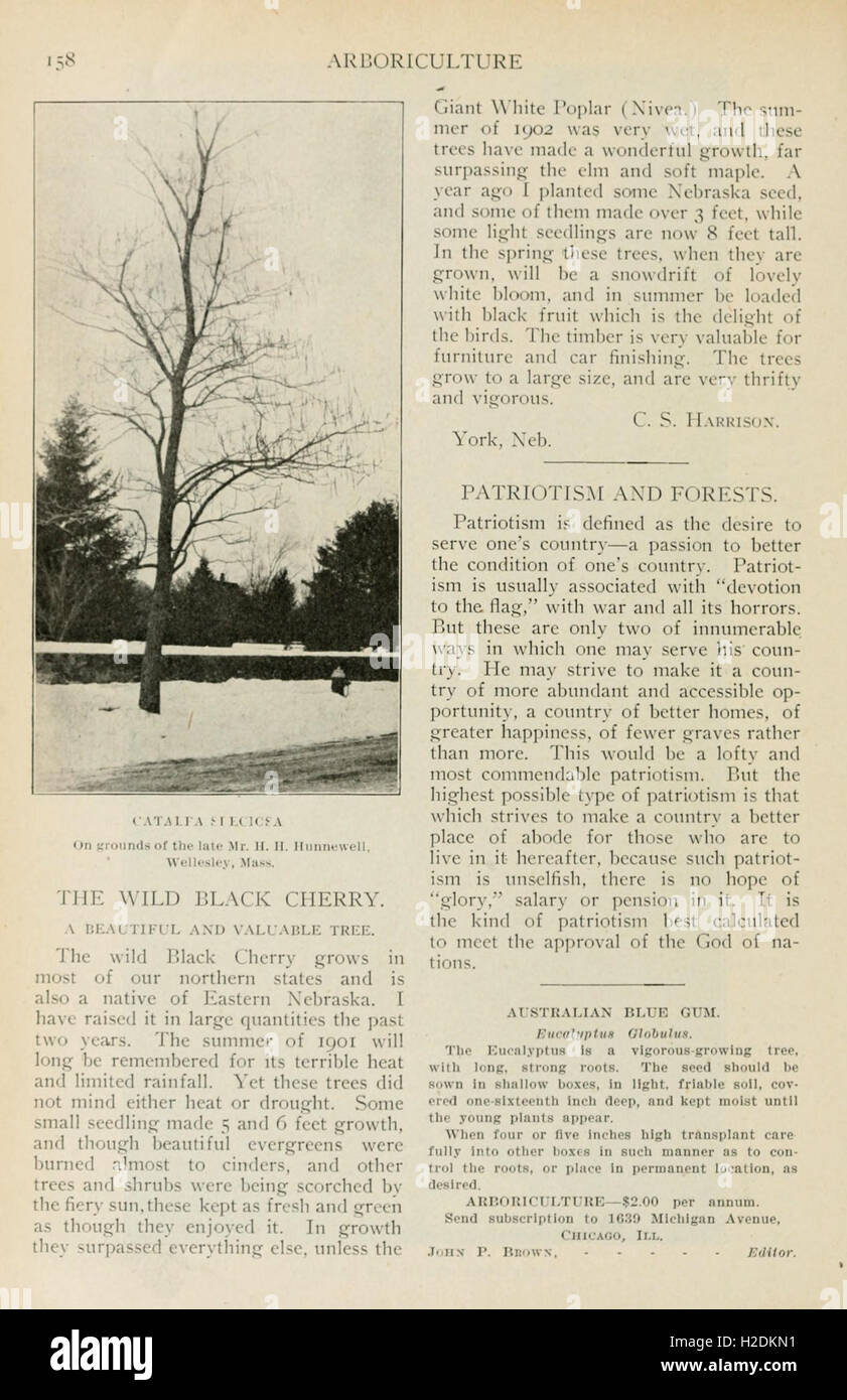 A study of arboriculture, focusing on tree cultivation and care ...