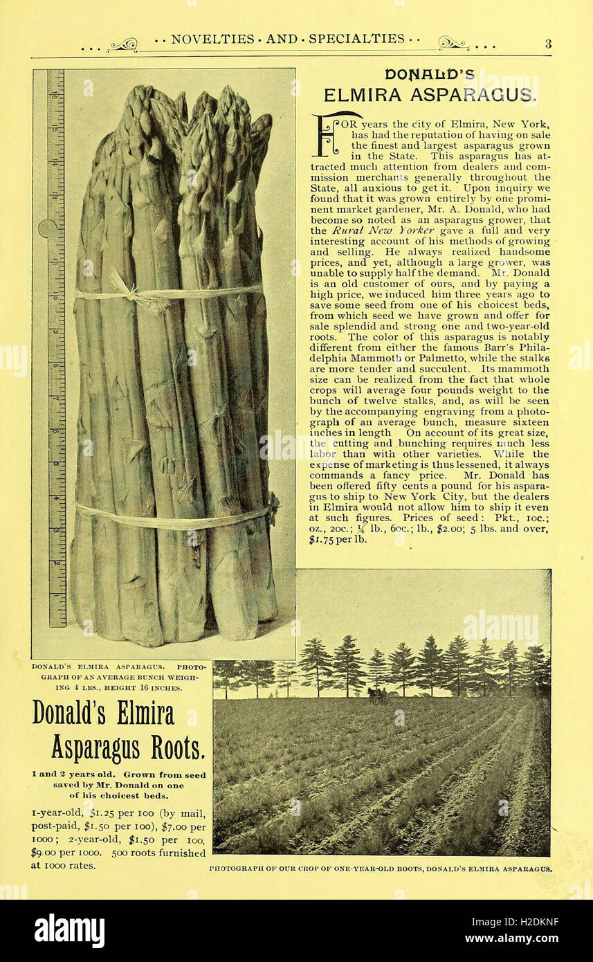 The '1894 Garden and Farm Manual' provides practical guidance on ...